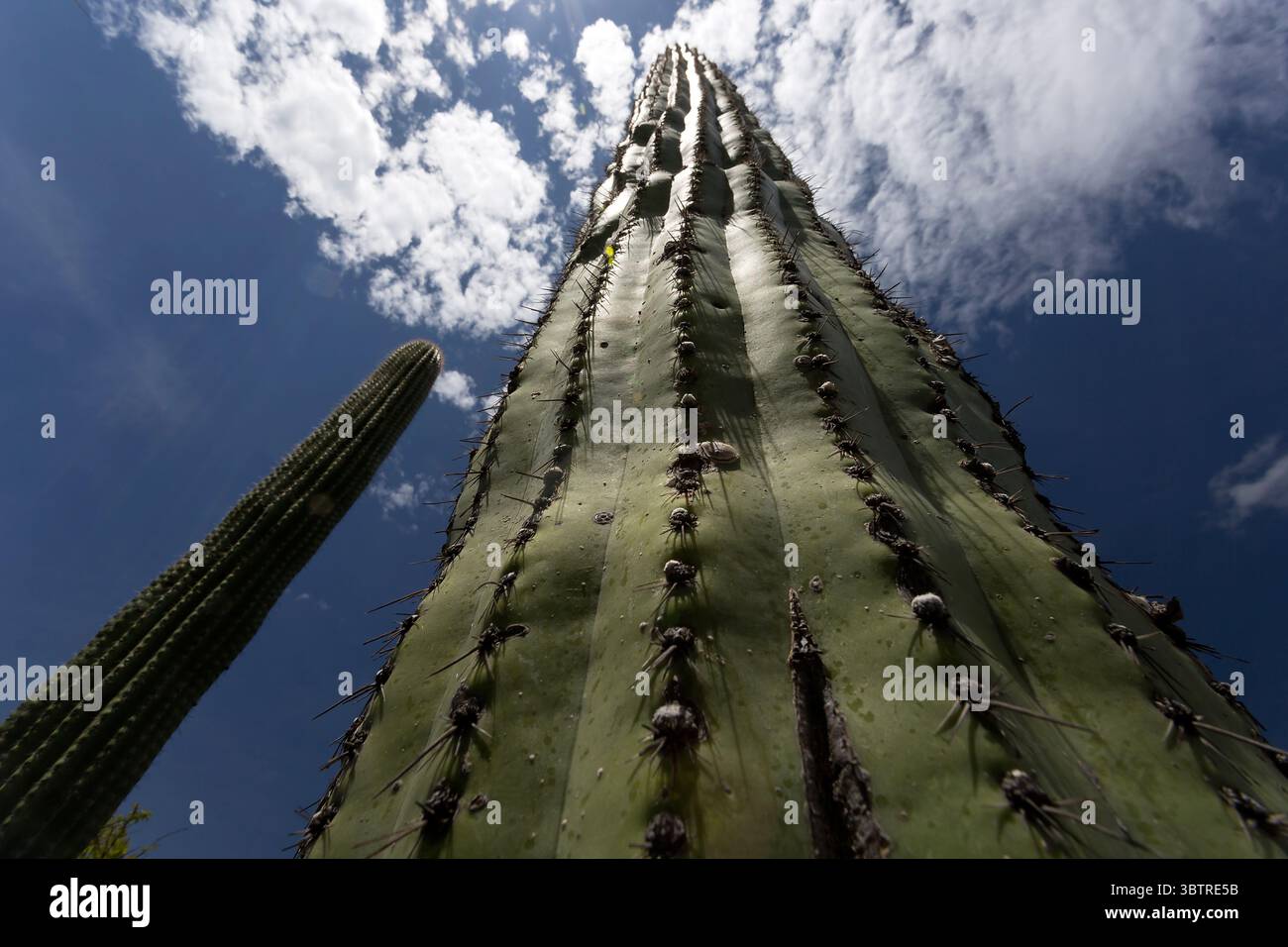 Visit to the Turritelas National Park, a paleontologic park, at the ...