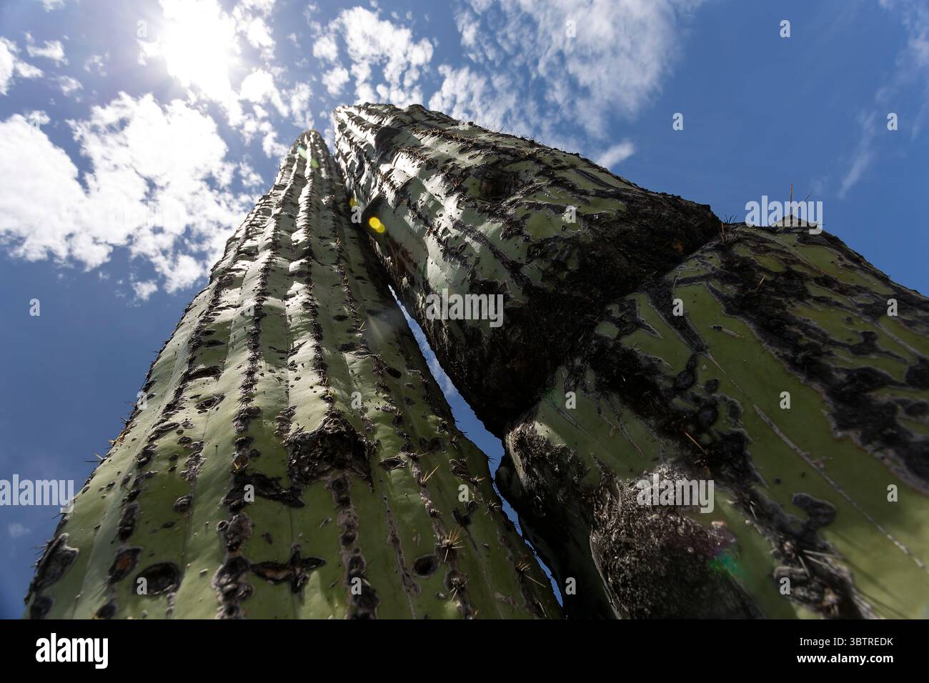 Visit to the Turritelas National Park, a paleontologic park, at the ...