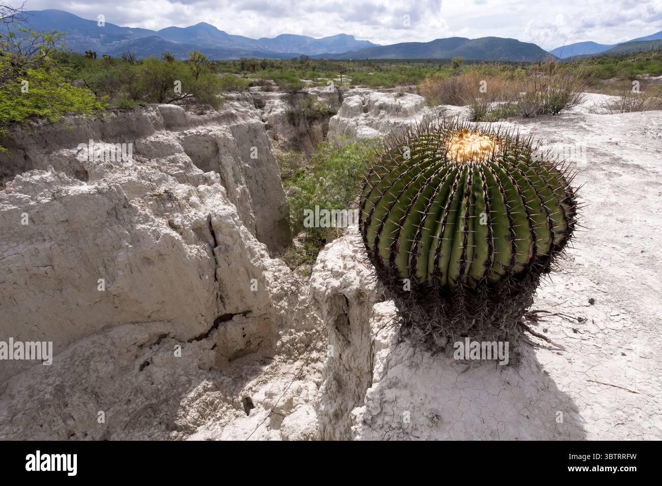 Visit to the Turritelas National Park, a paleontologic park, at the ...