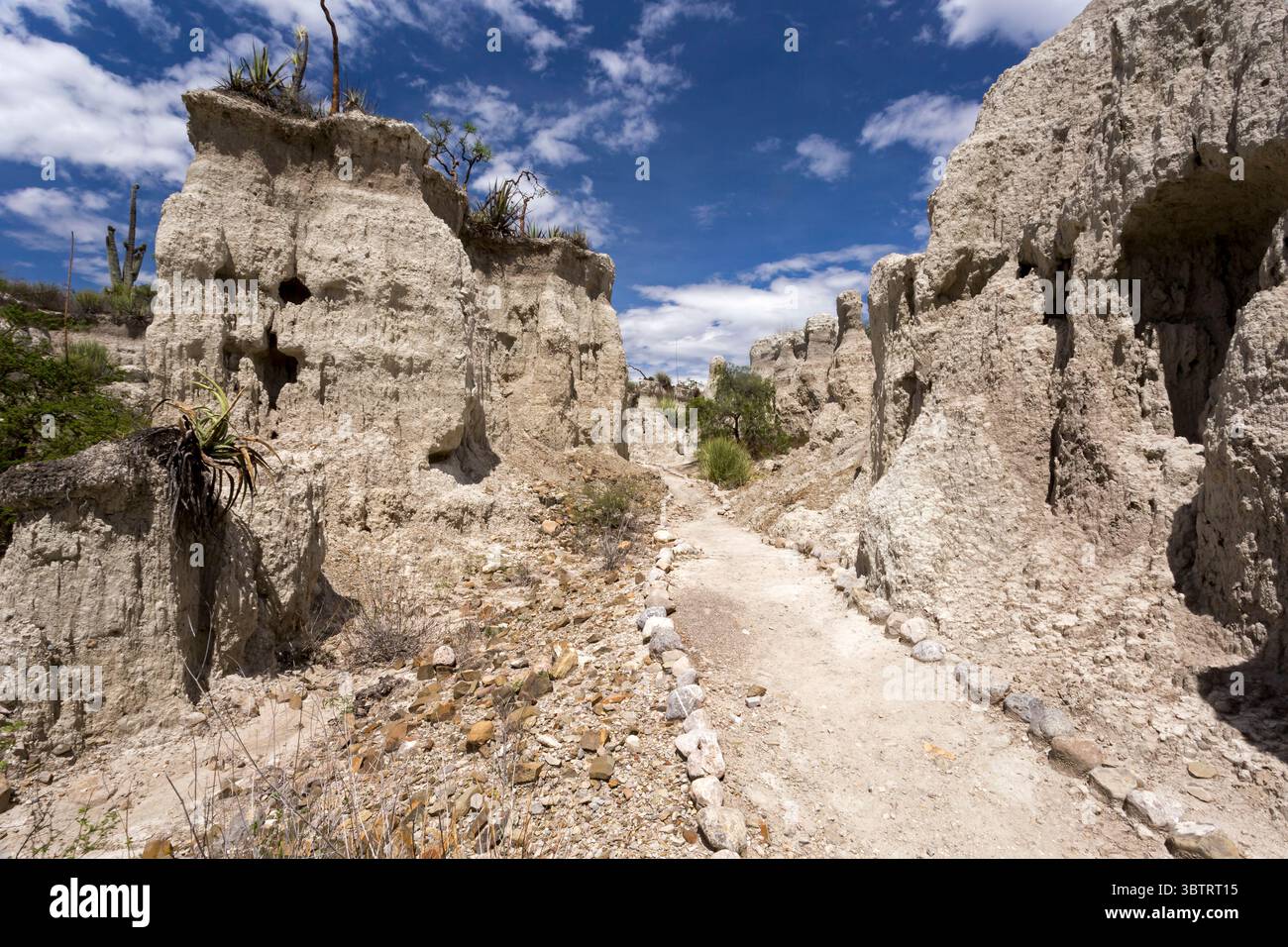 Visit to the Turritelas National Park, a paleontologic park, at the ...