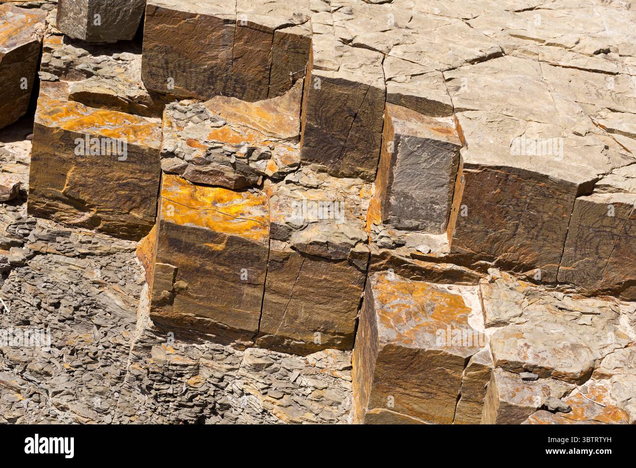 Visit to the Turritelas National Park, a paleontologic park, at the ...