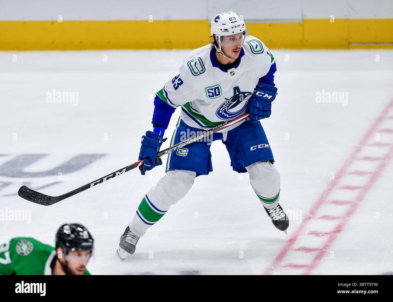 Jay beagle hi-res stock photography and images - Alamy