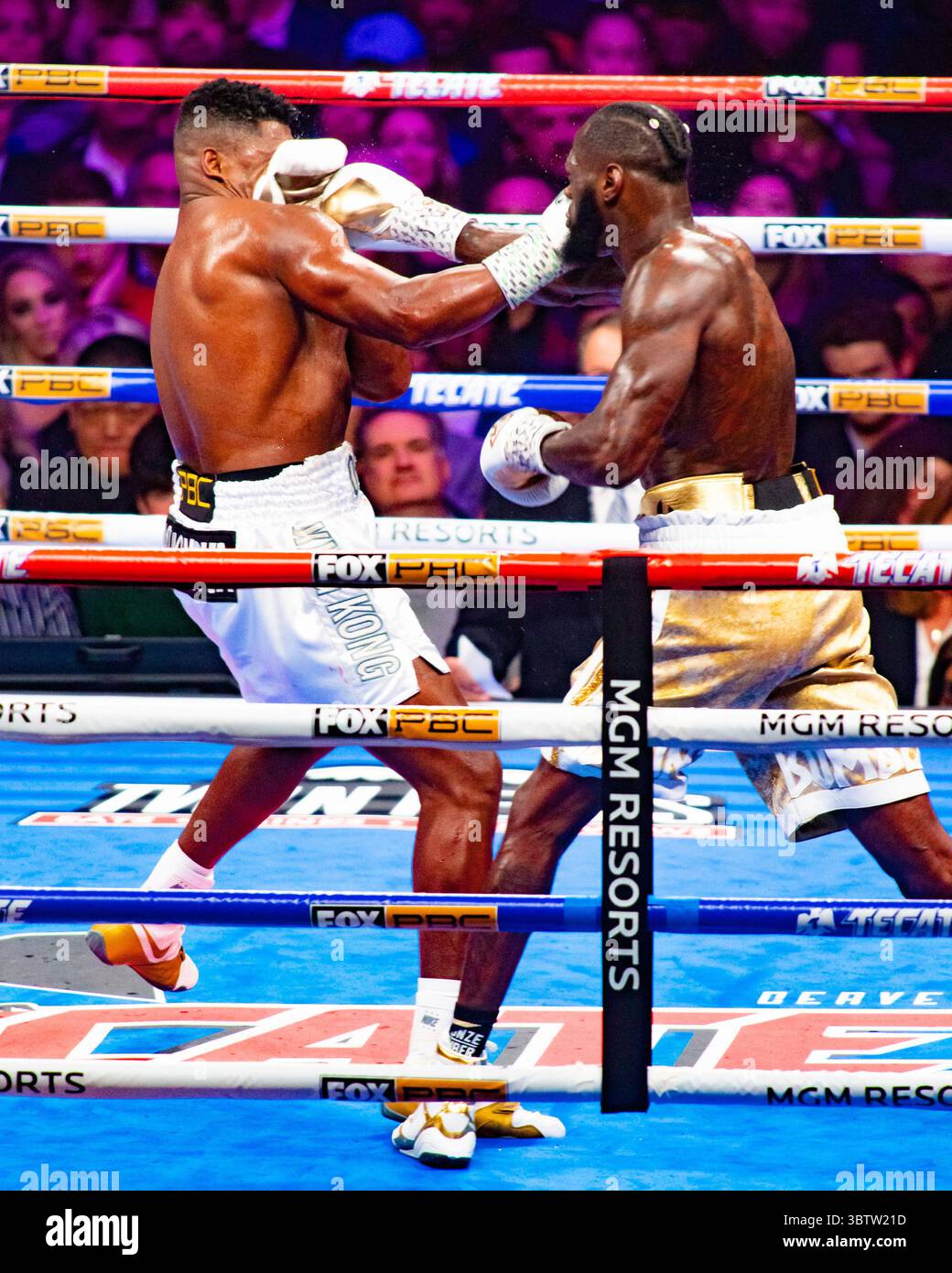 September 11, 2019, Las Vegas, Nevada, USA: WBC Heavyweight Champion ...