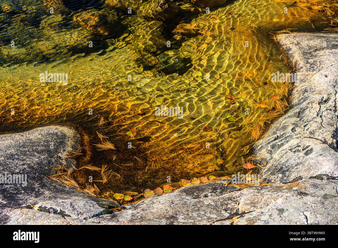 Rocky shore of Katherine Cove, Lake Superior Provincial Park, Ontario ...
