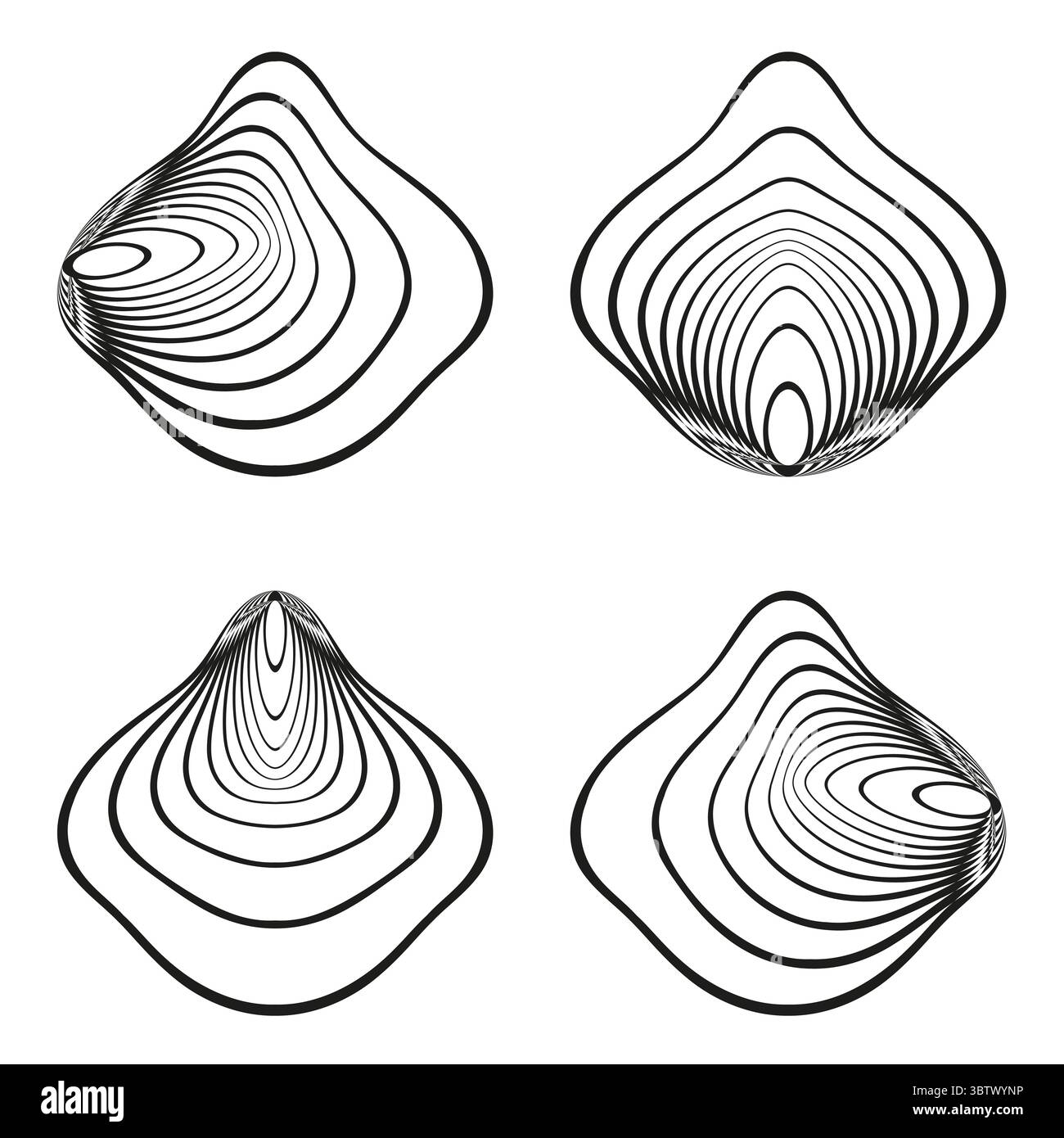 Concentric line forms. Abstract shell shapes. Smooth curve patterns ...