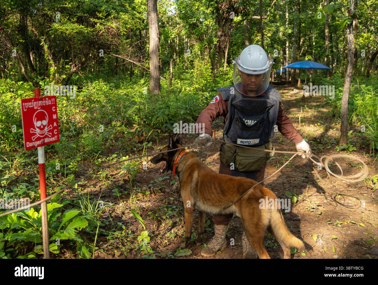 Bunn Viseth, 25, a dog handler with the humanitarian deming group APOPO ...
