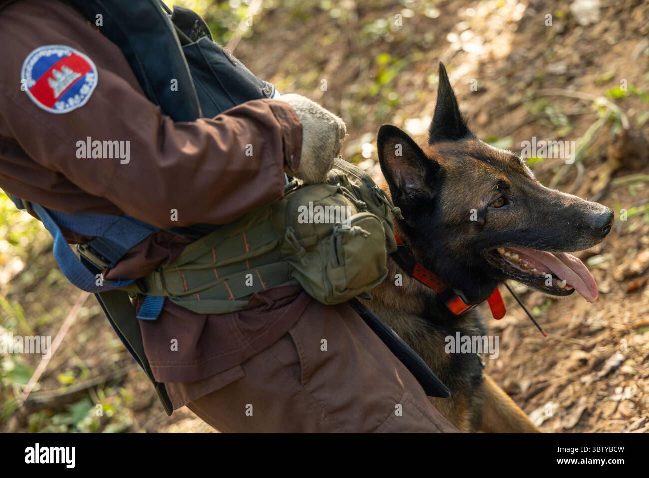 Kim, a five-year-old K-9 working with the humanitarian deming group ...