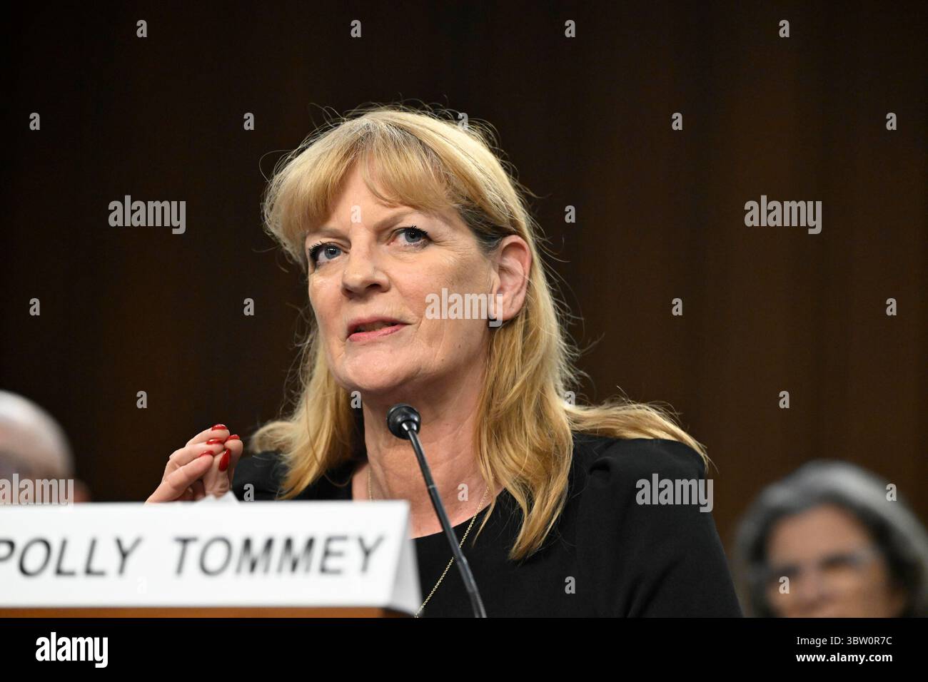 Polly Tommey testifies during Senate Committee on Homeland Security and ...