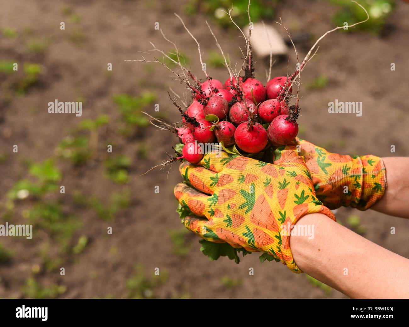Imperfect methods hi-res stock photography and images - Alamy