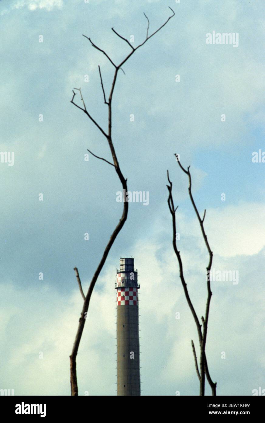 East Germany pollution Bitterfeld Mai 1990 silbersee lake full of ...
