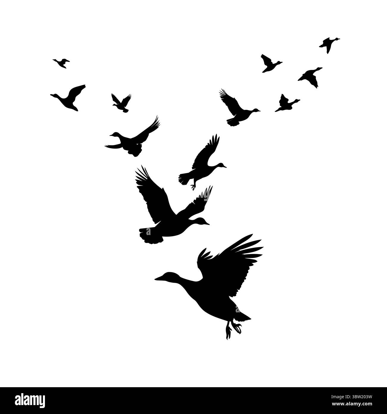 A flock of black ducks flying. hand drawing. Not AI. Vector ...