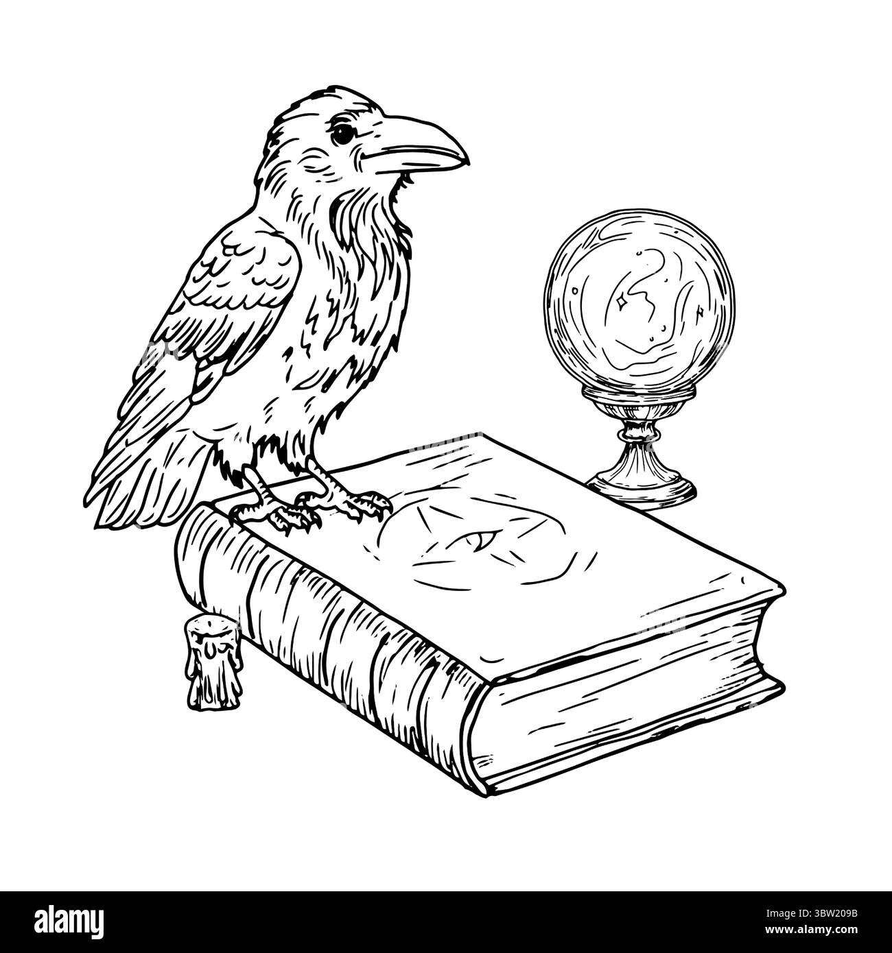 Black raven next to white raven hi-res stock photography and images - Alamy