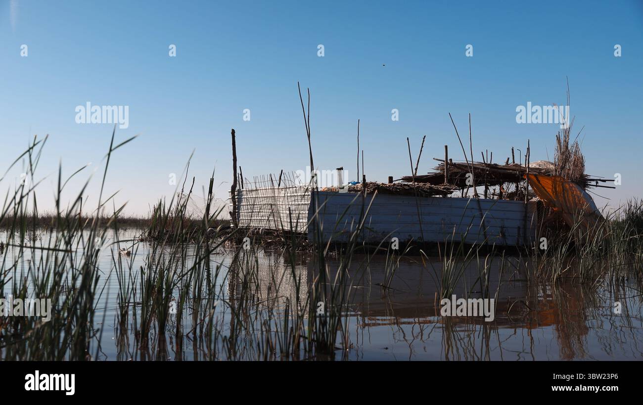 Traditional dwelling stands amidst the vast Mesopotamian Marshes in ...