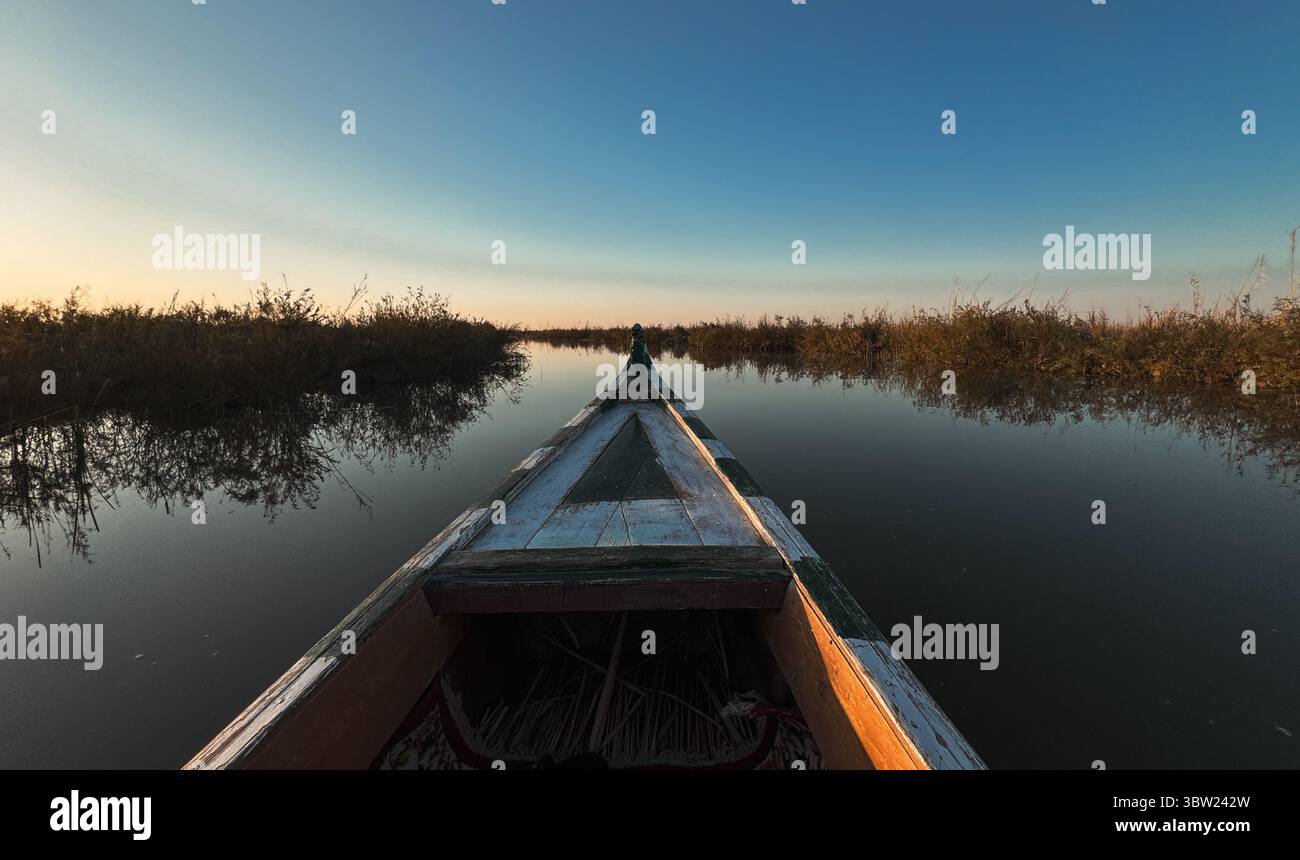 A boat glides through calm Iraqi marshes at dusk, surrounded by aquatic ...