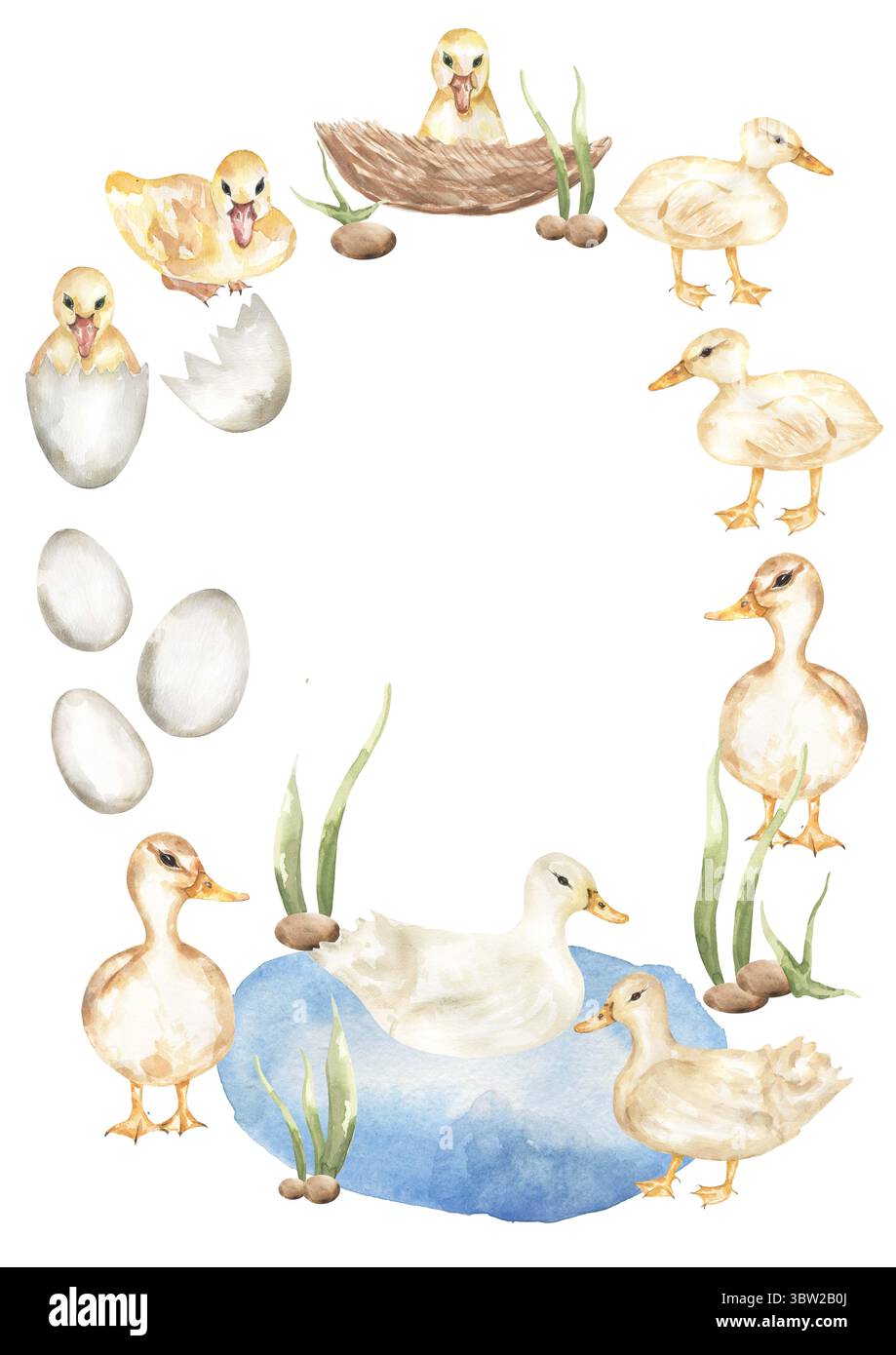 Watercolor Farm Duck Life Cycle, cute farm animal growth stage poster ...