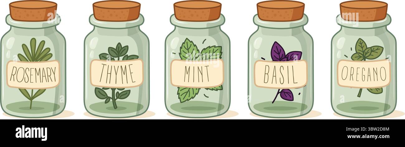 Rosemary thyme oregano Stock Vector Images - Alamy