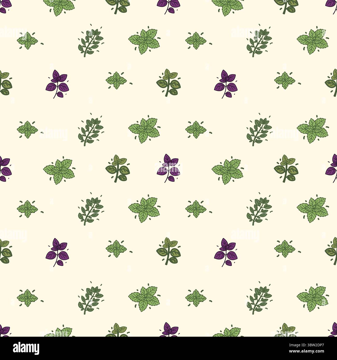 Fresh thyme herb organic Stock Vector Images - Alamy