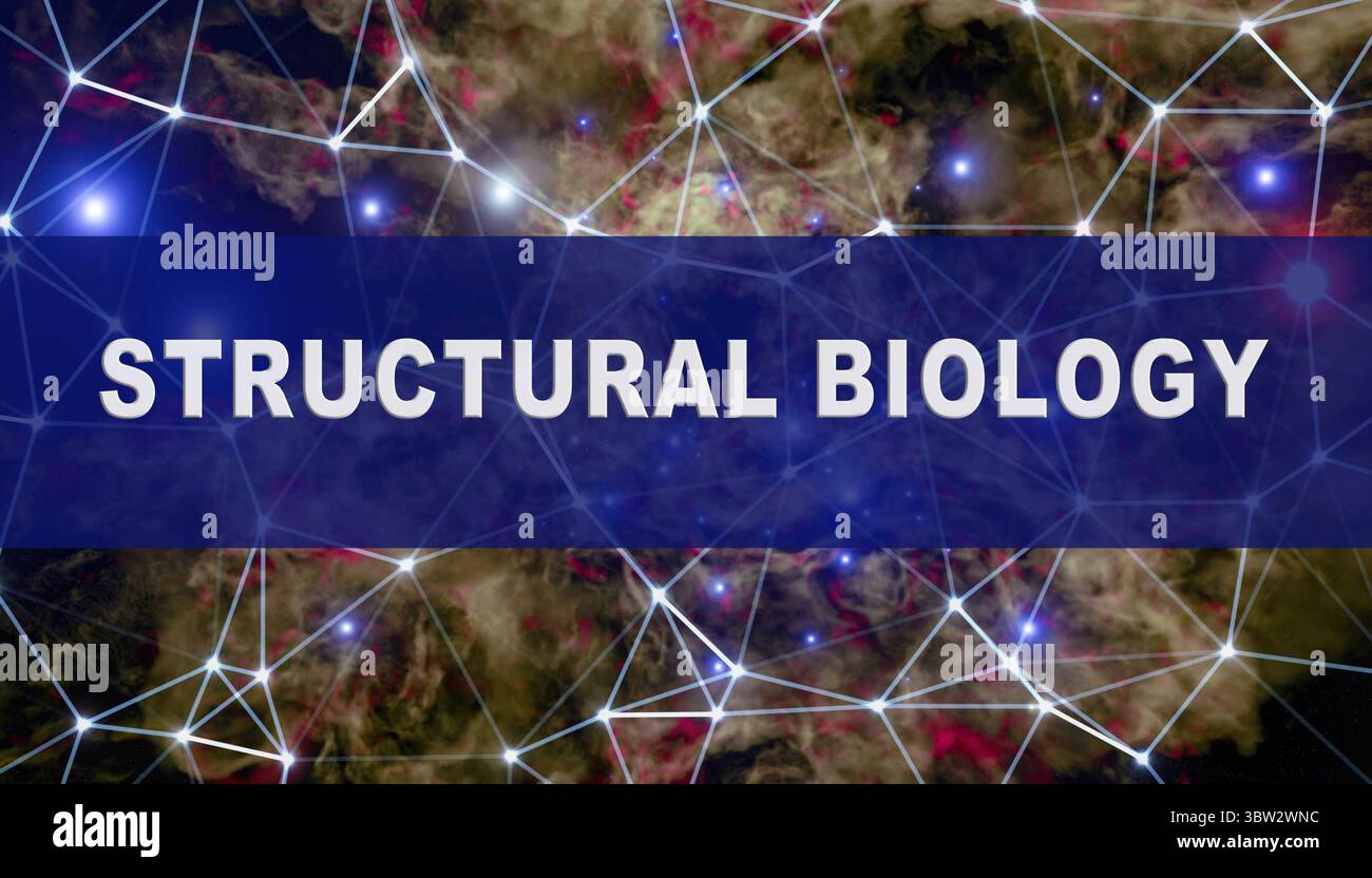 Structural Biology Analyzes the 3D structures of biological ...