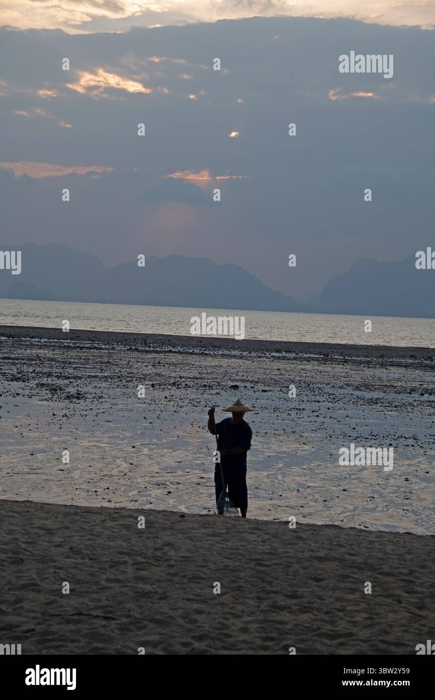 A beach sweeper using his rake on the beach at dawn on Paradise Koh Yao ...