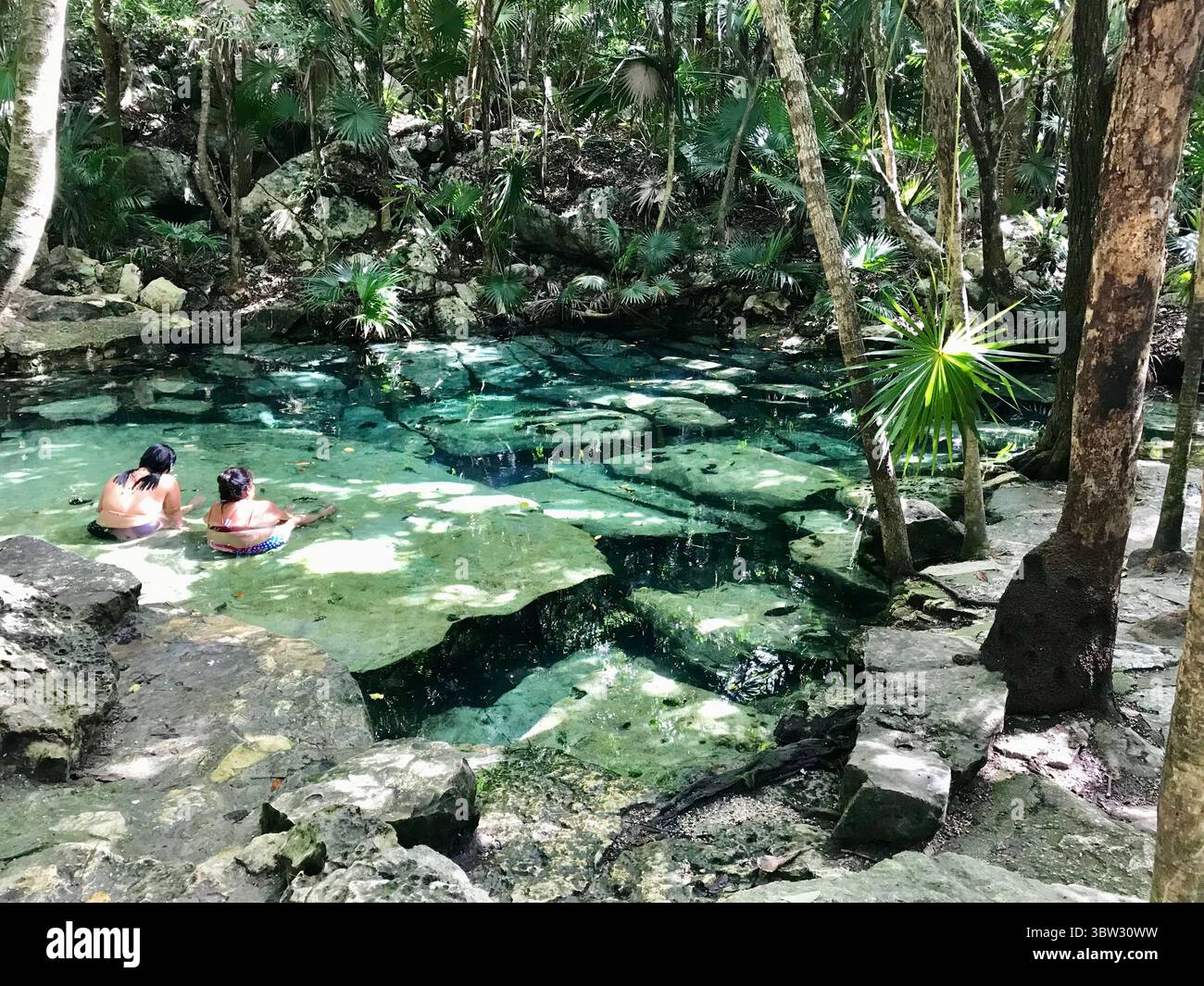 Natural Cenote Pool in the Yucatán Jungle, Mexico Stock Photo - Alamy