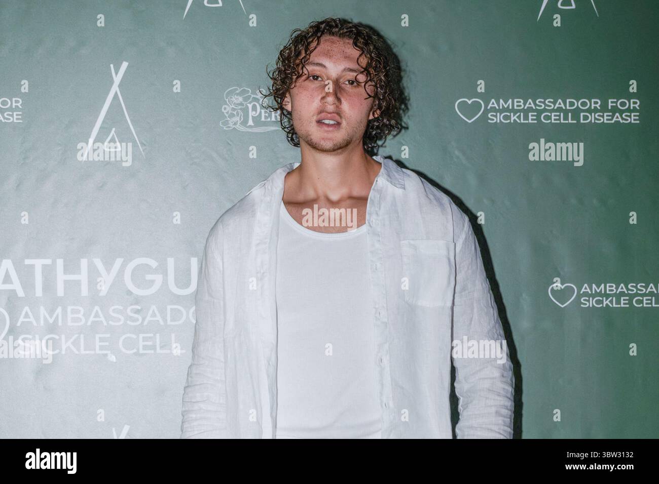 Tim Elvis Guetta attending Cathy Guetta’s First Charity Gala at the ...