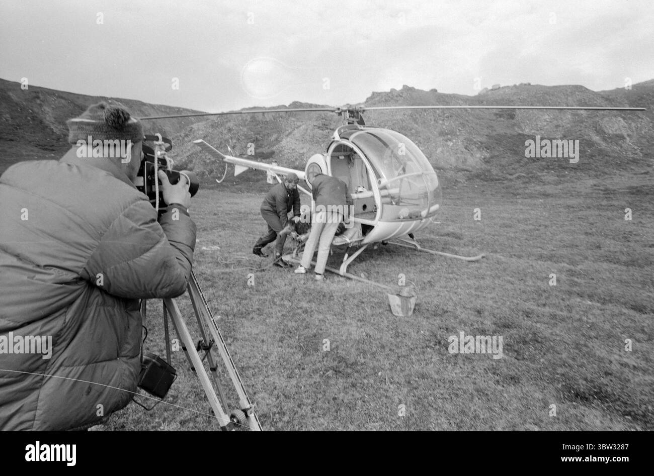 Aktuell 37 - 3 - 1969: A ship will be loaded with muskratsNorway's new ...