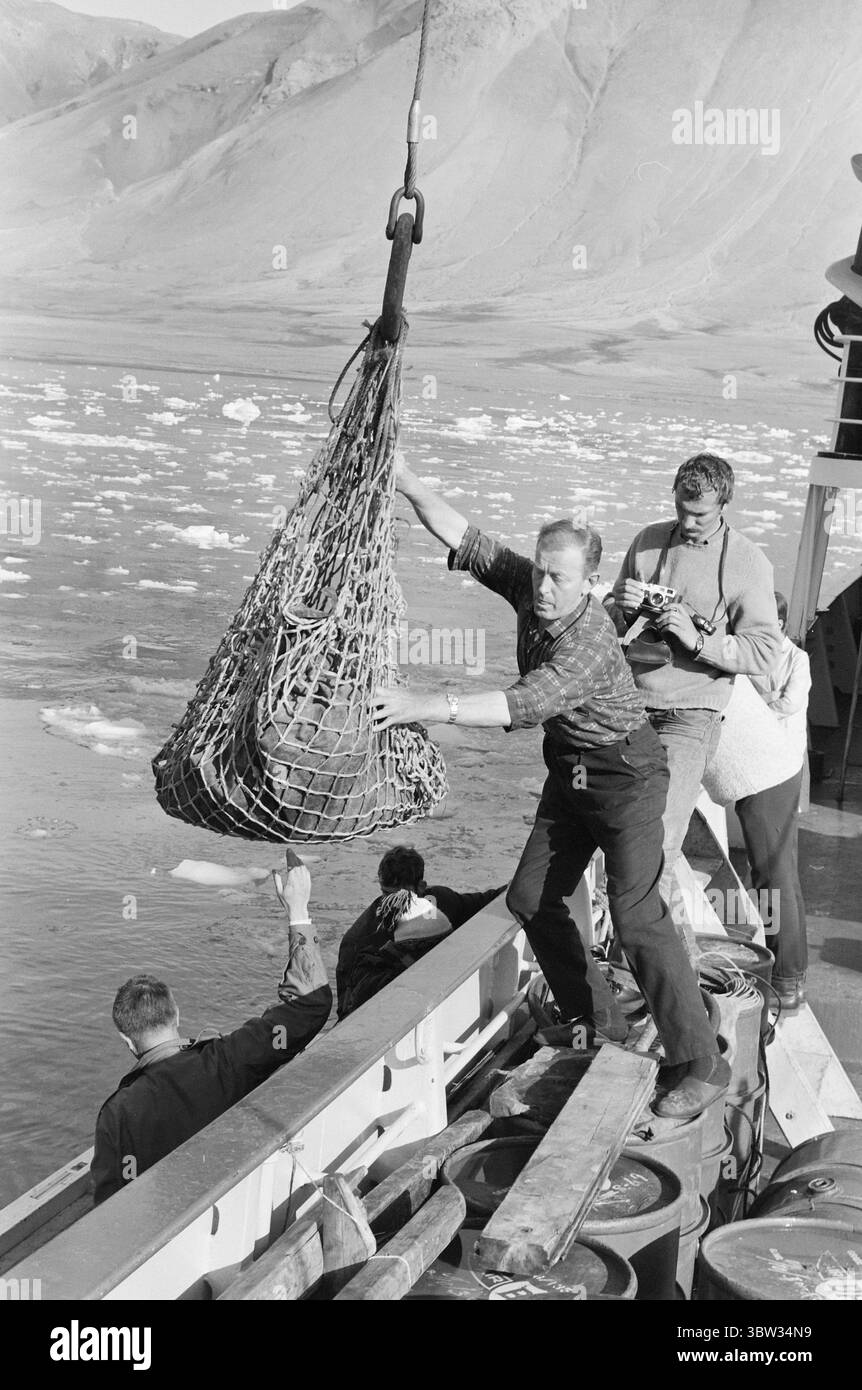 Aktuell 37 - 3 - 1969: A ship will be loaded with muskNorway's new ...