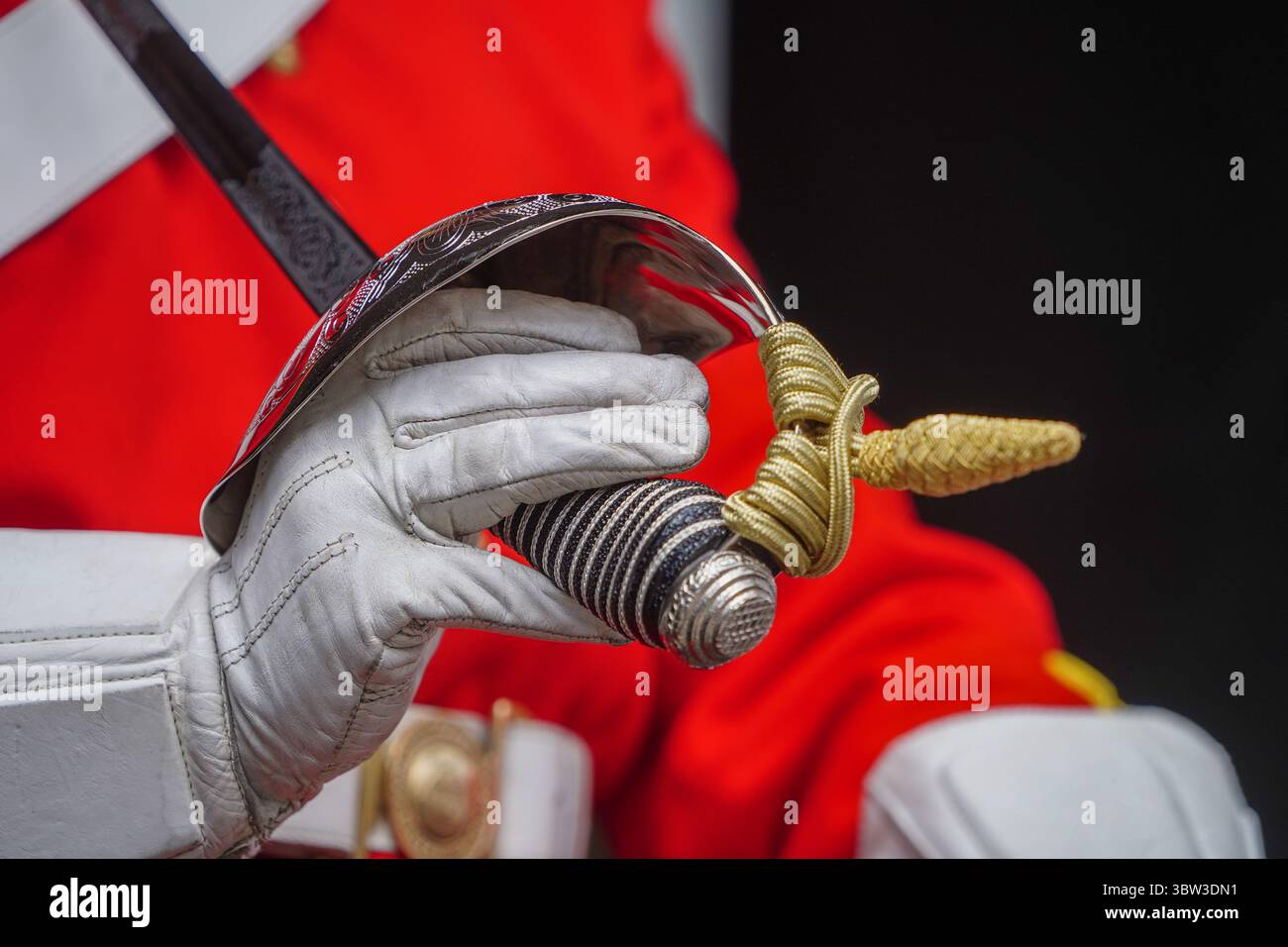 London, UK. 16 July 2025 . A member of the Lord Strathcona's Horse ...