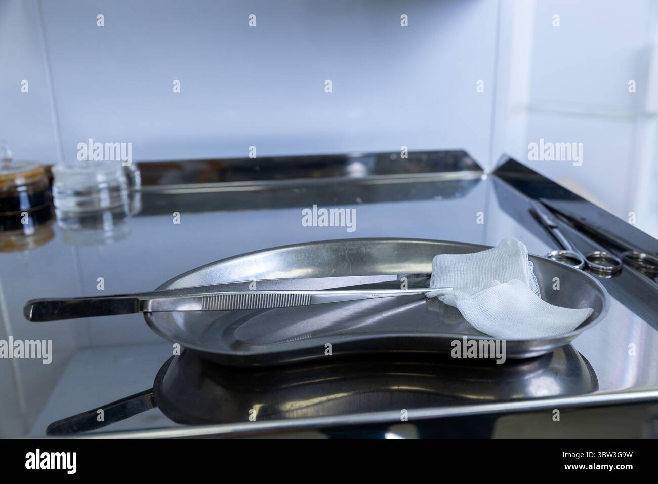 A Stainless Steel Surgical Tray Displaying Instruments Including ...
