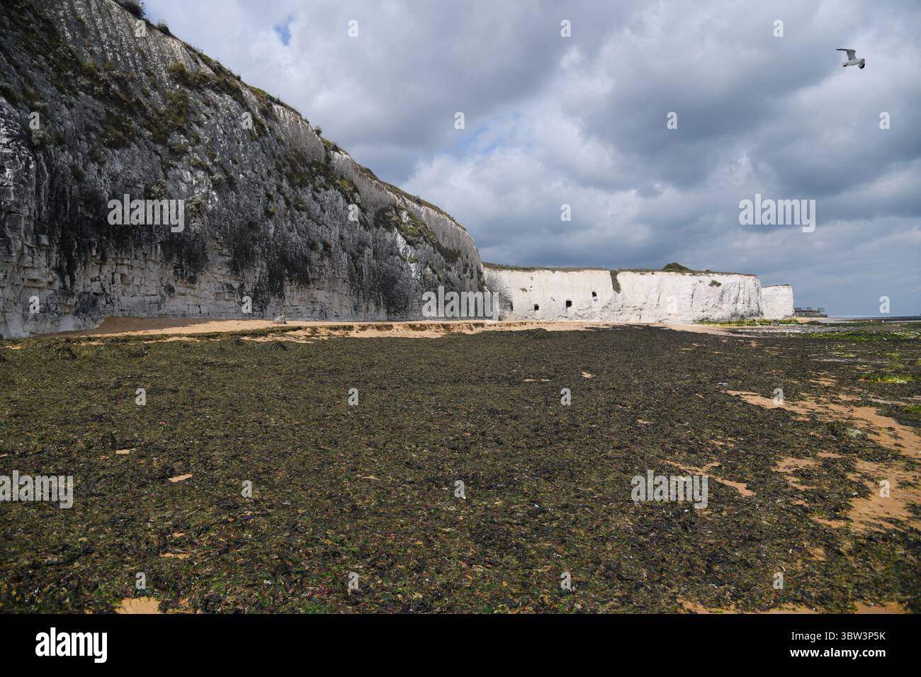 Botany Bay Broadstairs Kent Stock Photo - Alamy