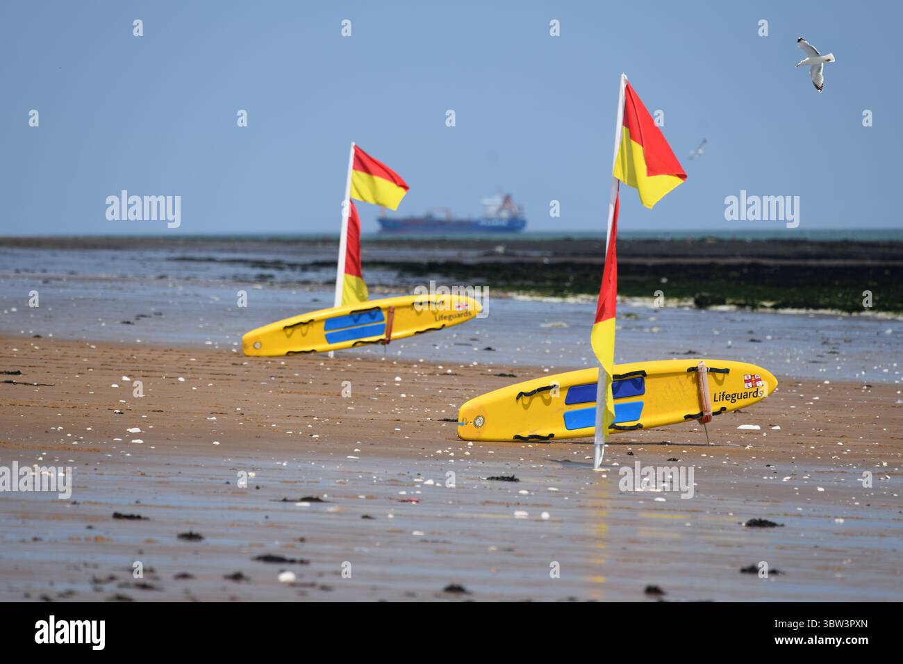 Botany Bay lifeguards Stock Photo - Alamy