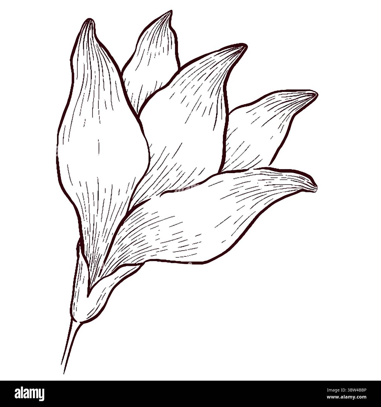 Gemstones and flowers vector illustrations set Stock Vector Image & Art ...