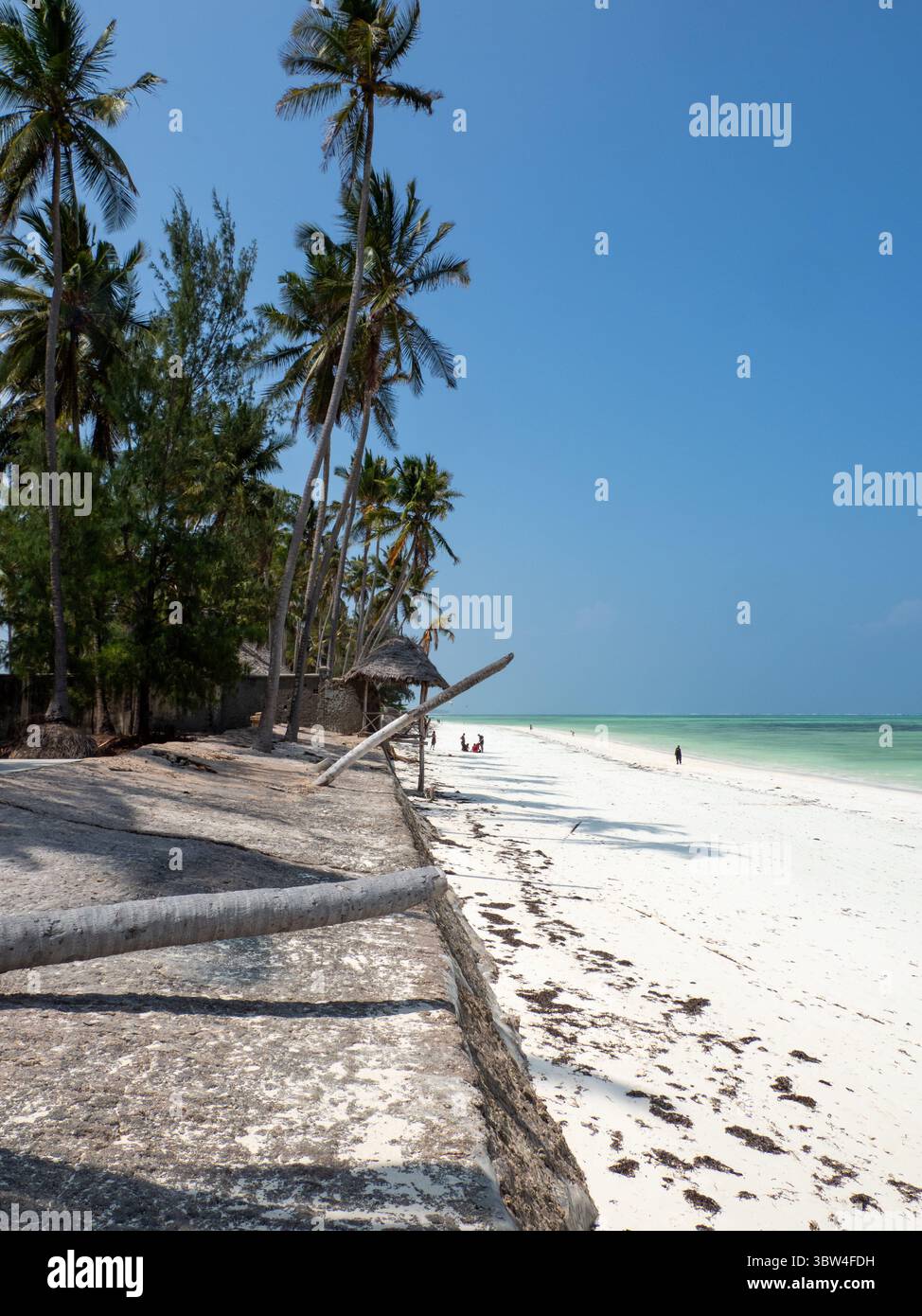 Paje beach on zanzibar hi-res stock photography and images - Alamy