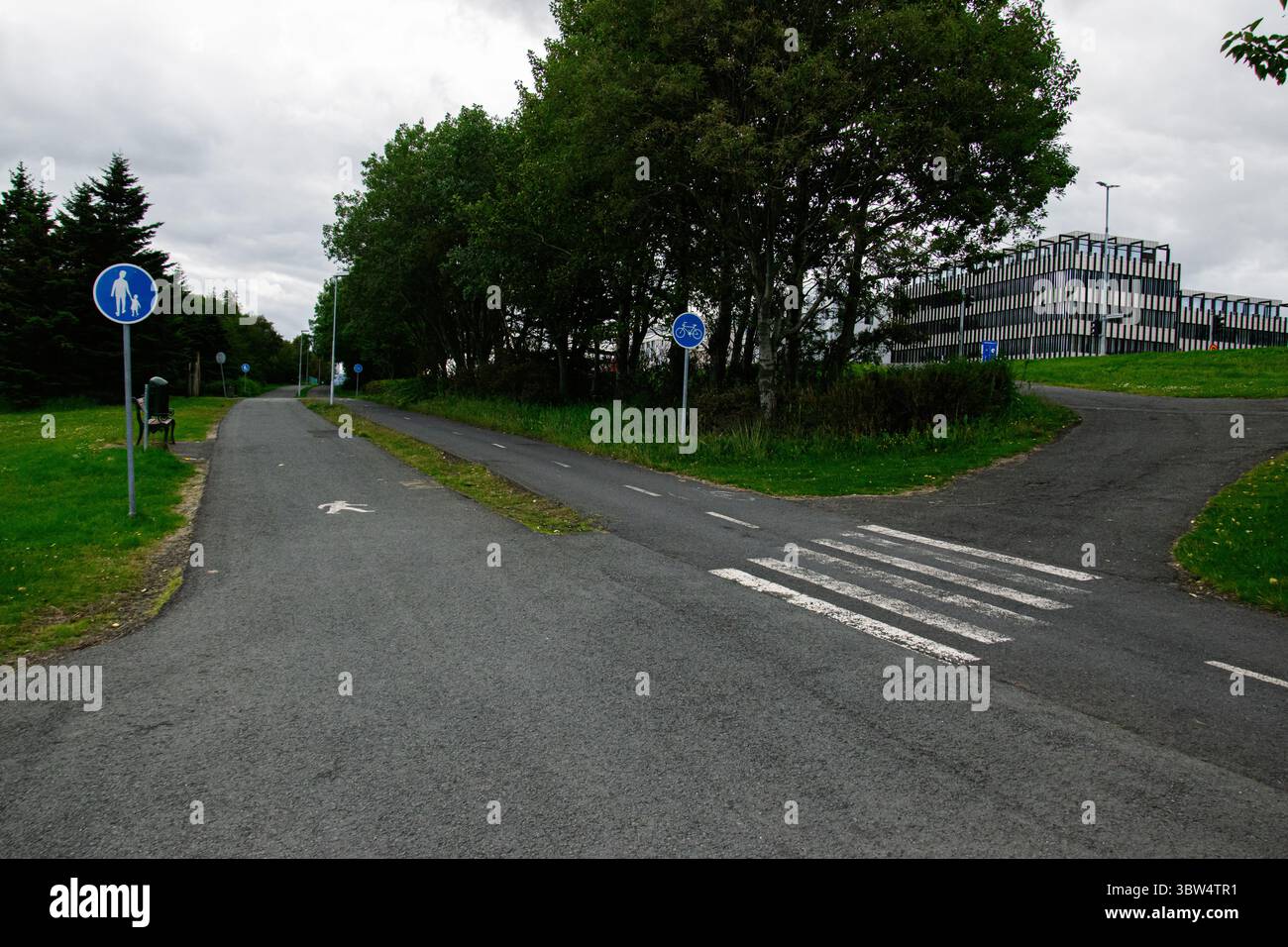 Tree-lined pathways and marked bike lane in a public park in Reykjavik ...