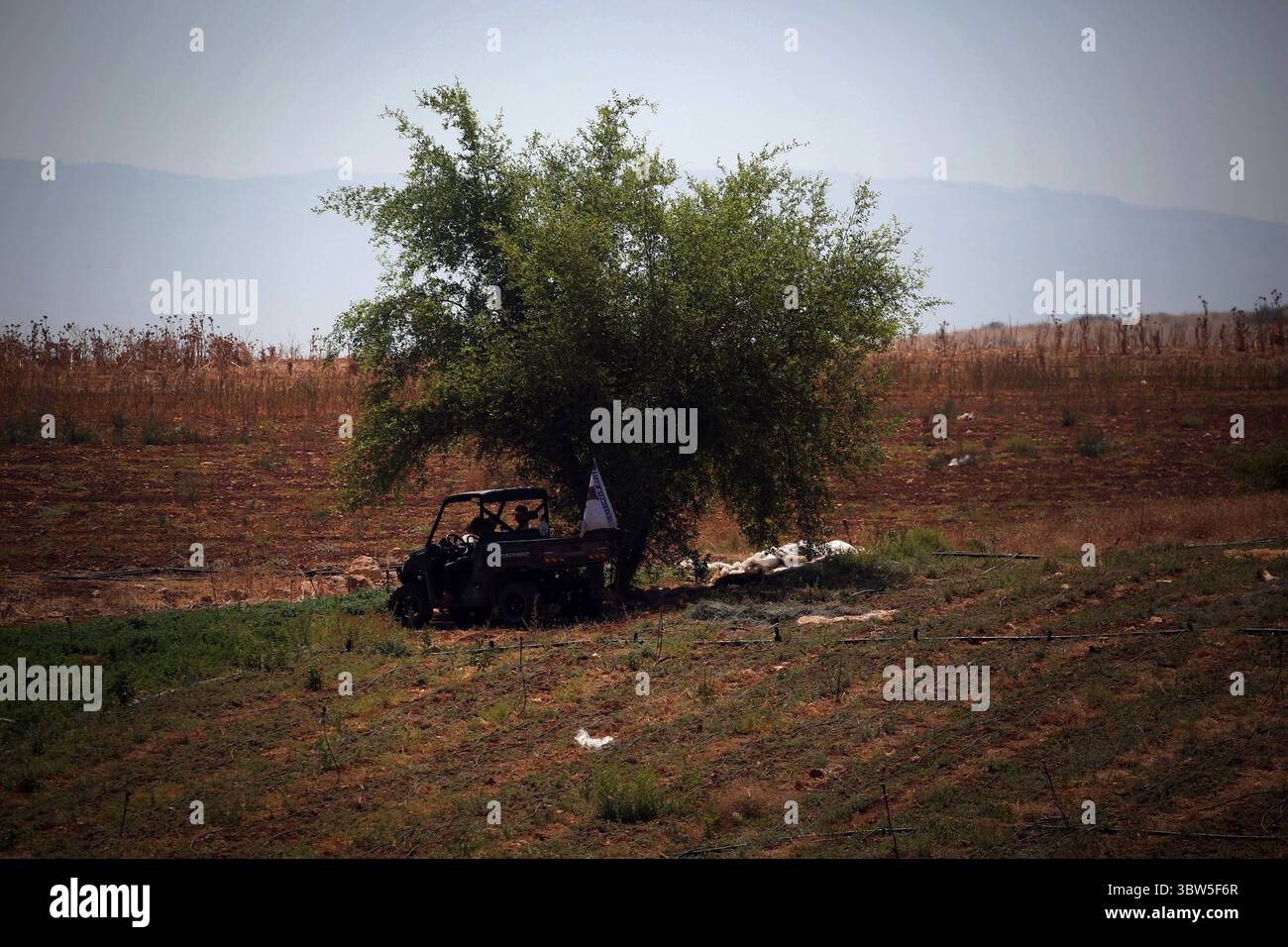 Jewish settler shepherds block the road leading to Palestinian farmers ...