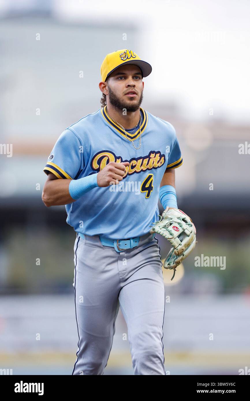 Montgomery Biscuits shortstop Gregory Barrios (4) in action against the Knoxville Smokies at ...
