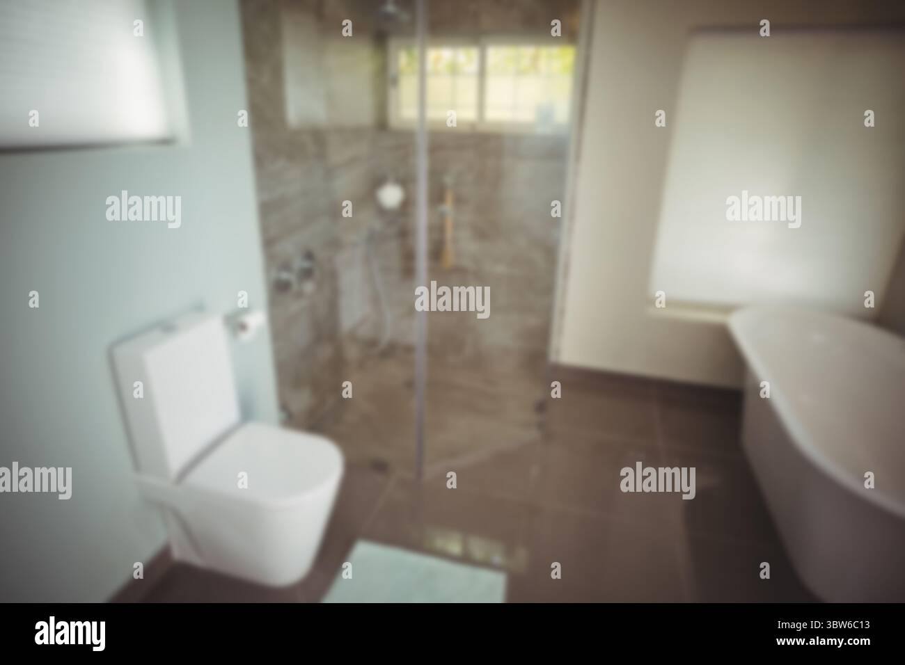 High angle view of toilet bowl and bathtub in bathroom Stock Photo - Alamy