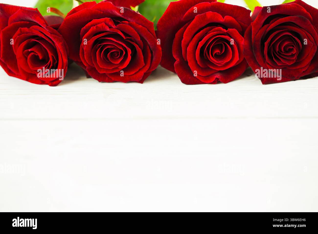 Four red roses are lying on white painted wooden board in flat design ...