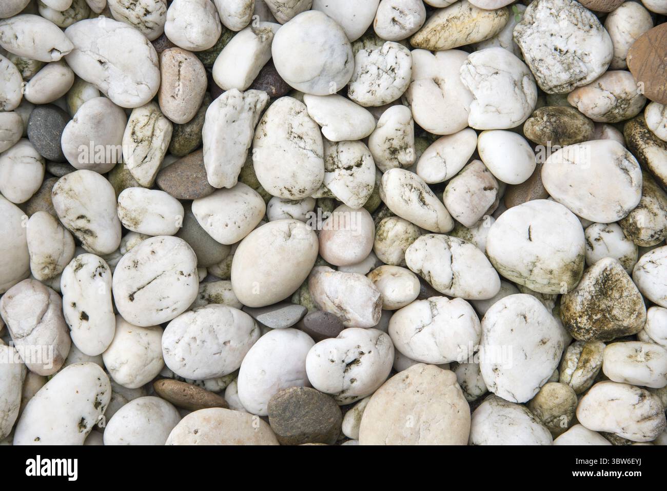 White pebble stone background. Texture and material theme Stock Photo ...