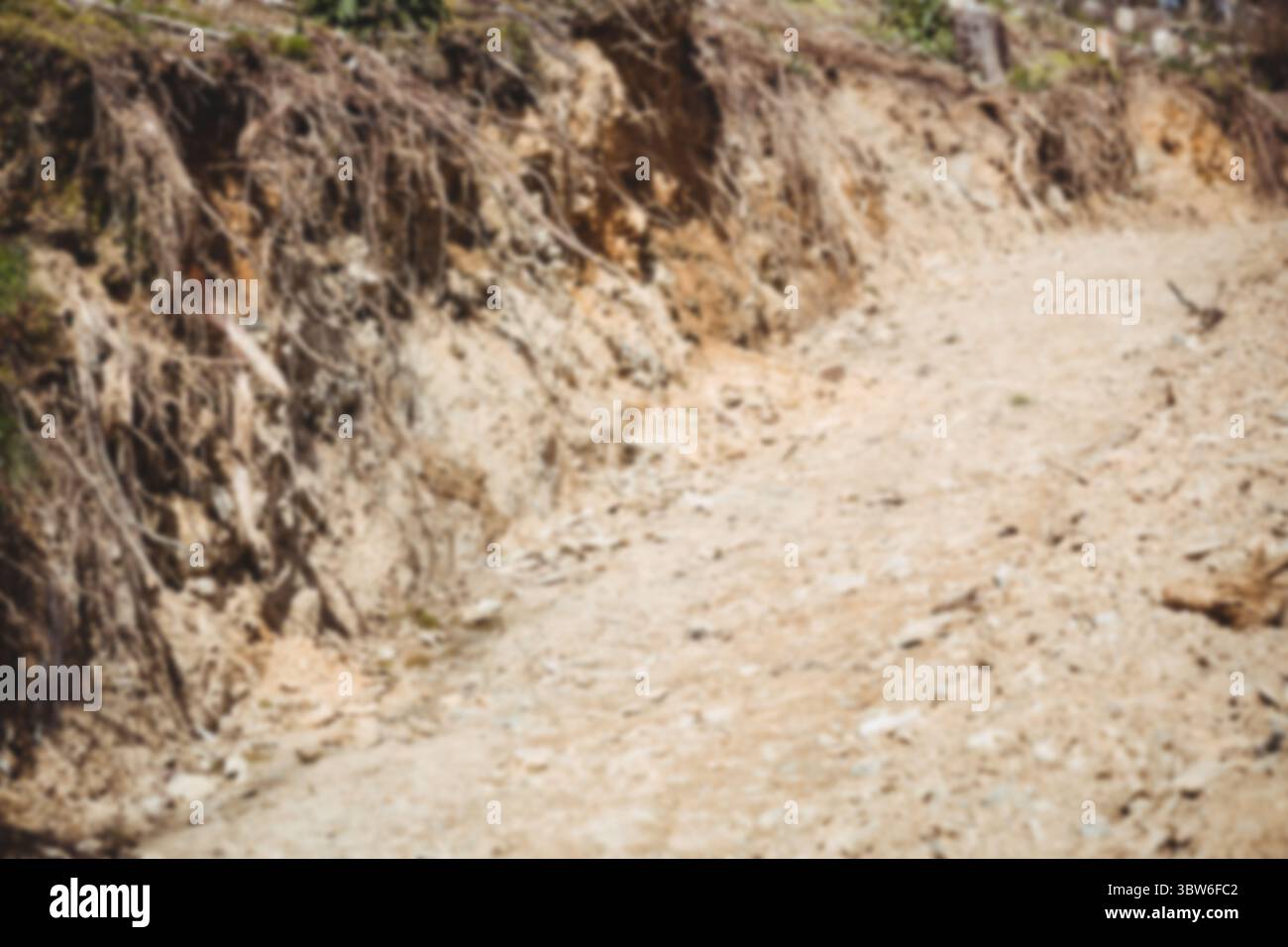 Forest rural empty road countryside hi-res stock photography and images ...