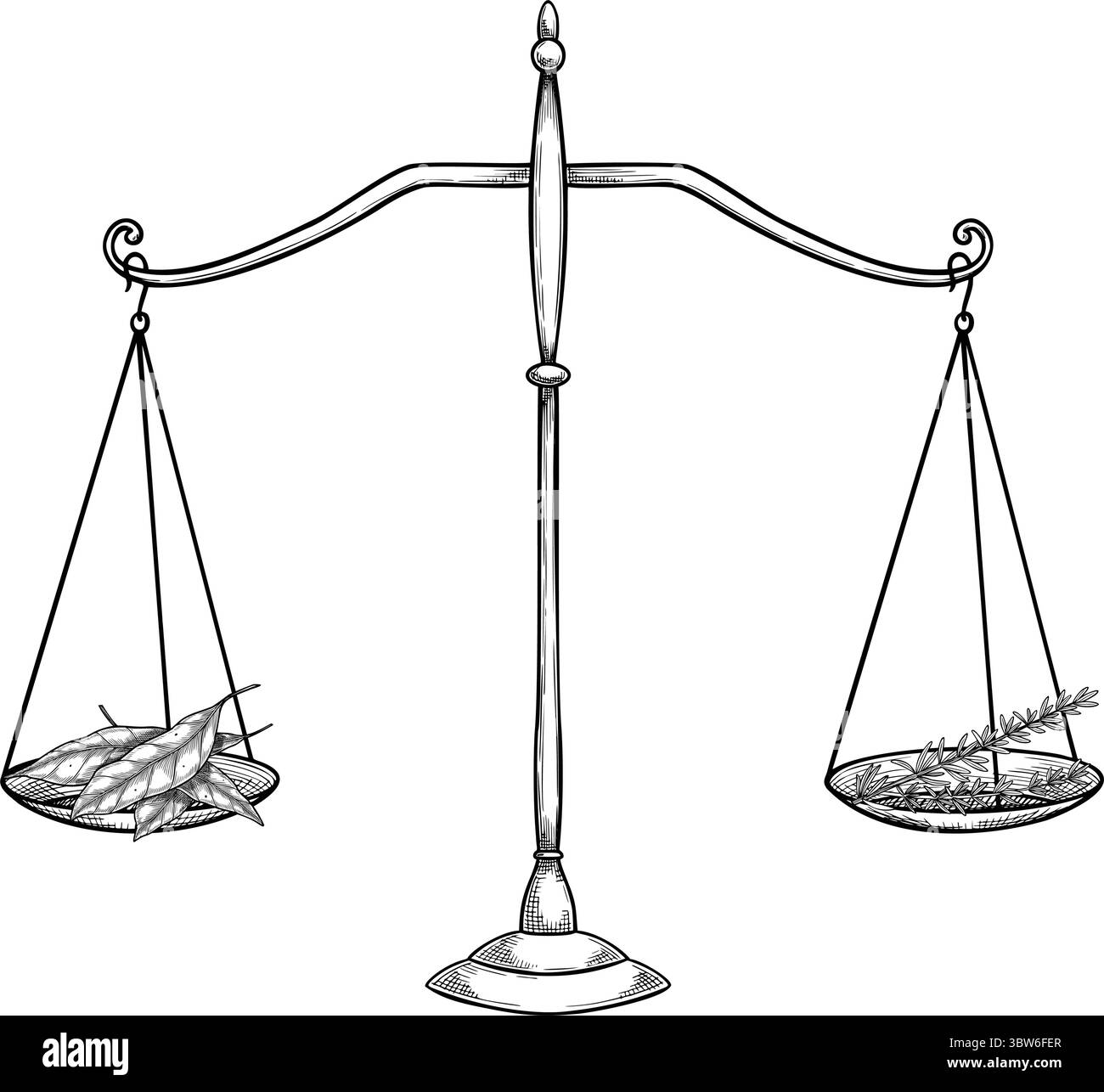 Vector drawing of vintage balance Scales with plants for herbal product ...