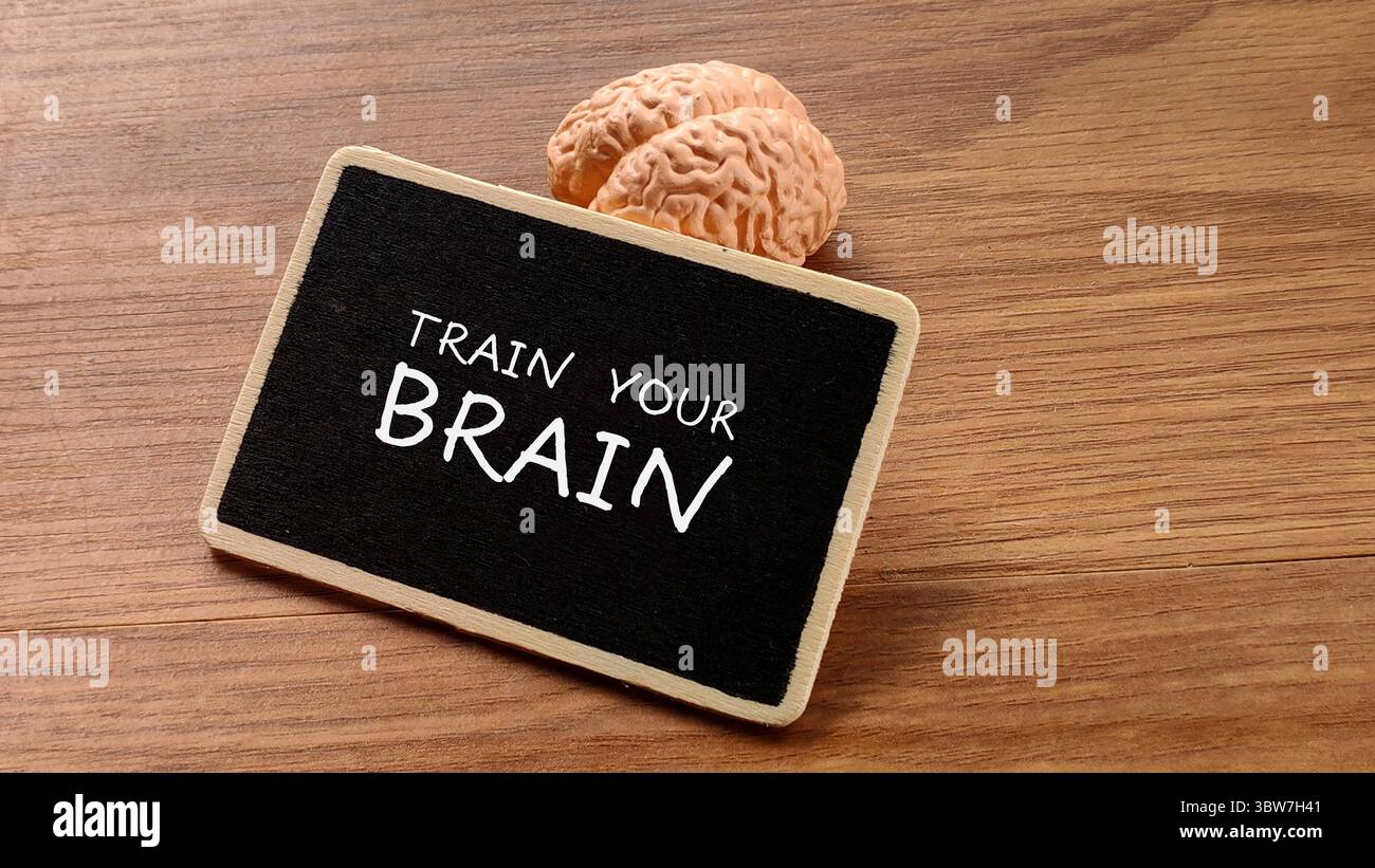 Train Your Brain Concept with Brain Model and Blackboard Stock Photo ...