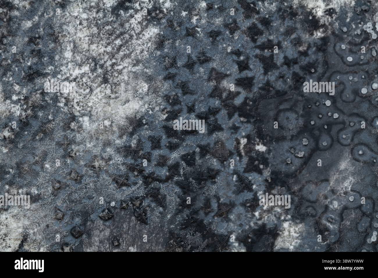Intricate surface patterns hi-res stock photography and images - Alamy