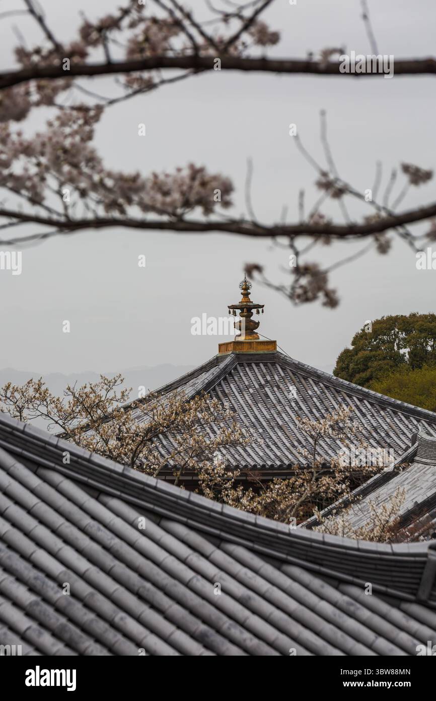 Serene view of a traditional Japanese temple roof adorned with a golden ...