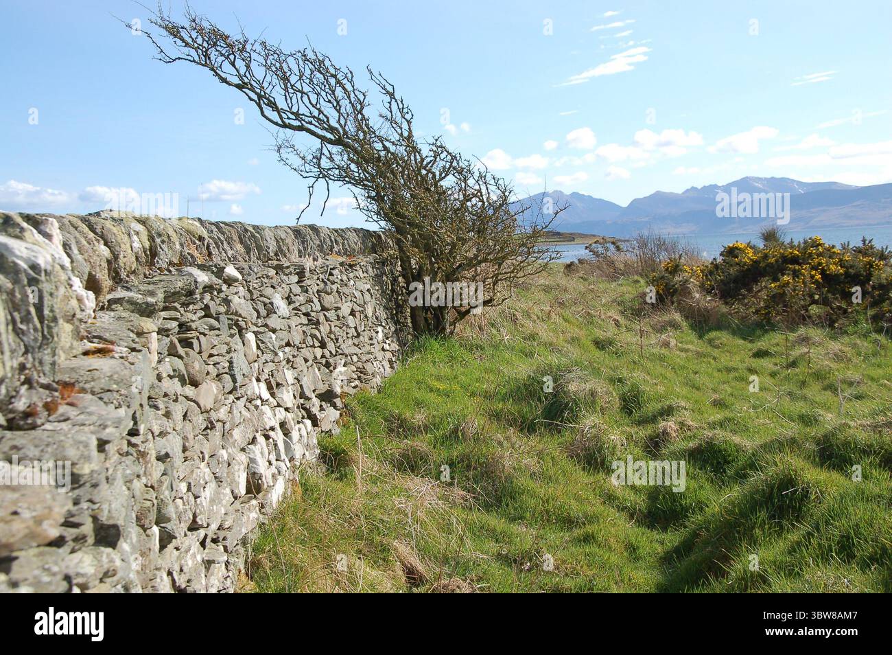 Scenic island scenes around Rothesay on the Isle of Bute featuring ...