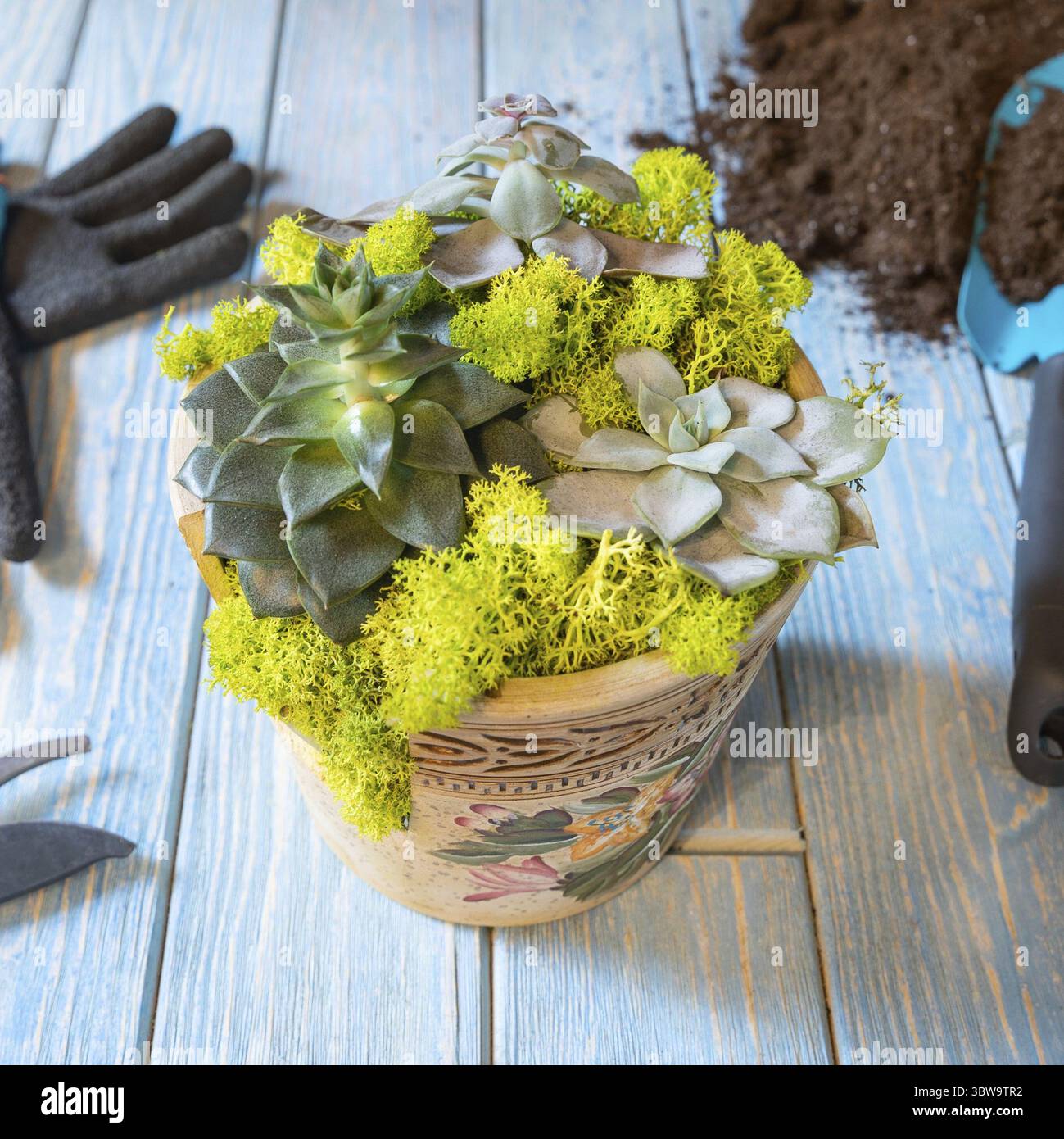 Terrarium, sand, rock, succulent, cactus, moss in the half broken ...