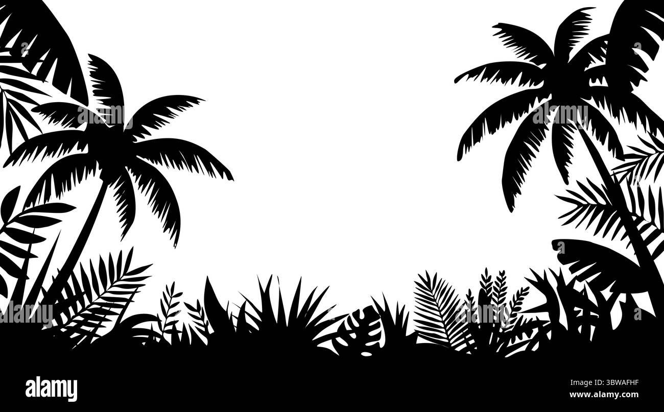 Palm tree frame border Black and White Stock Photos & Images - Alamy