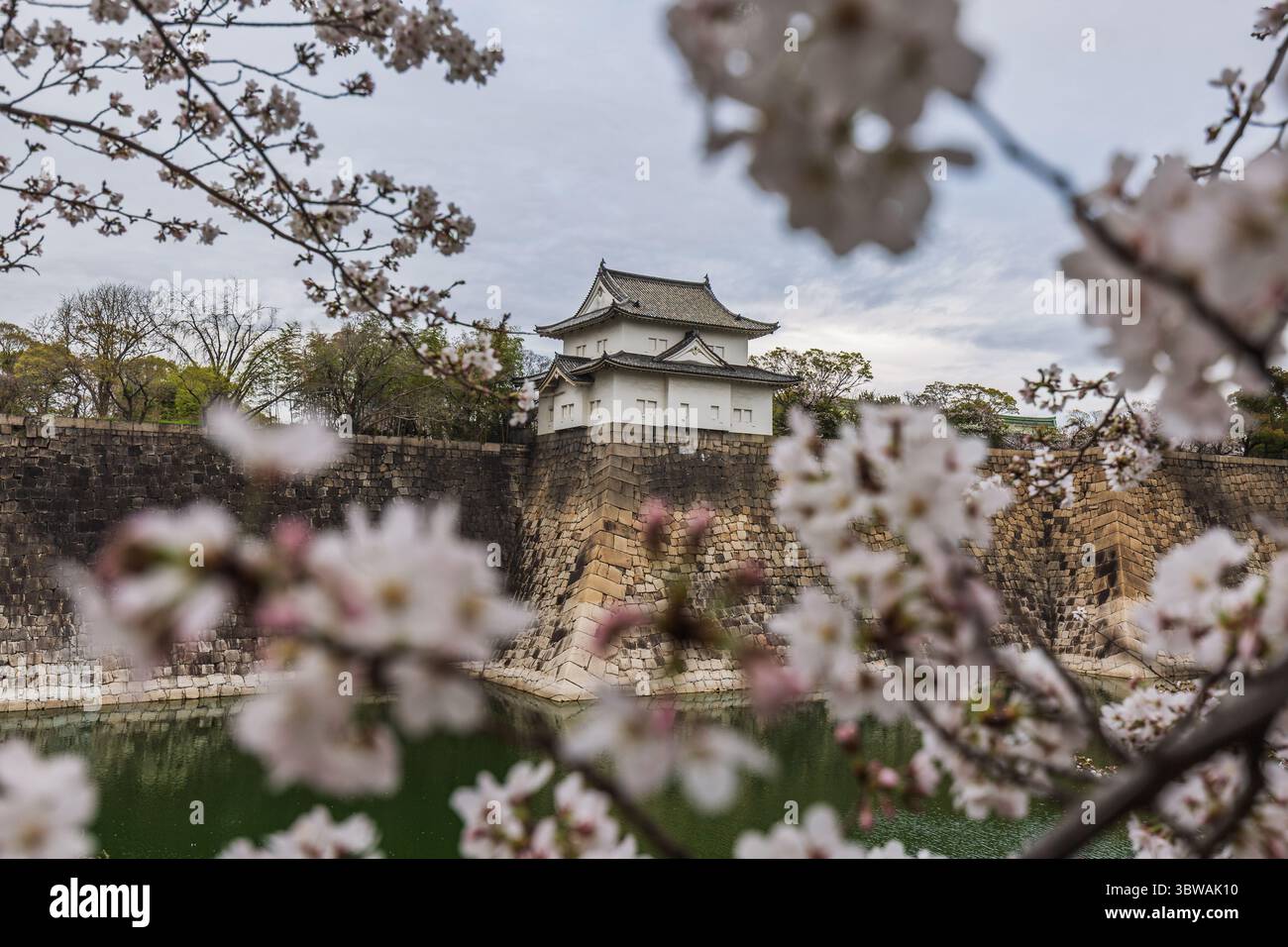 Imperial Palace East Garden, Tokyo, Japan. Ancient stone walls and a ...