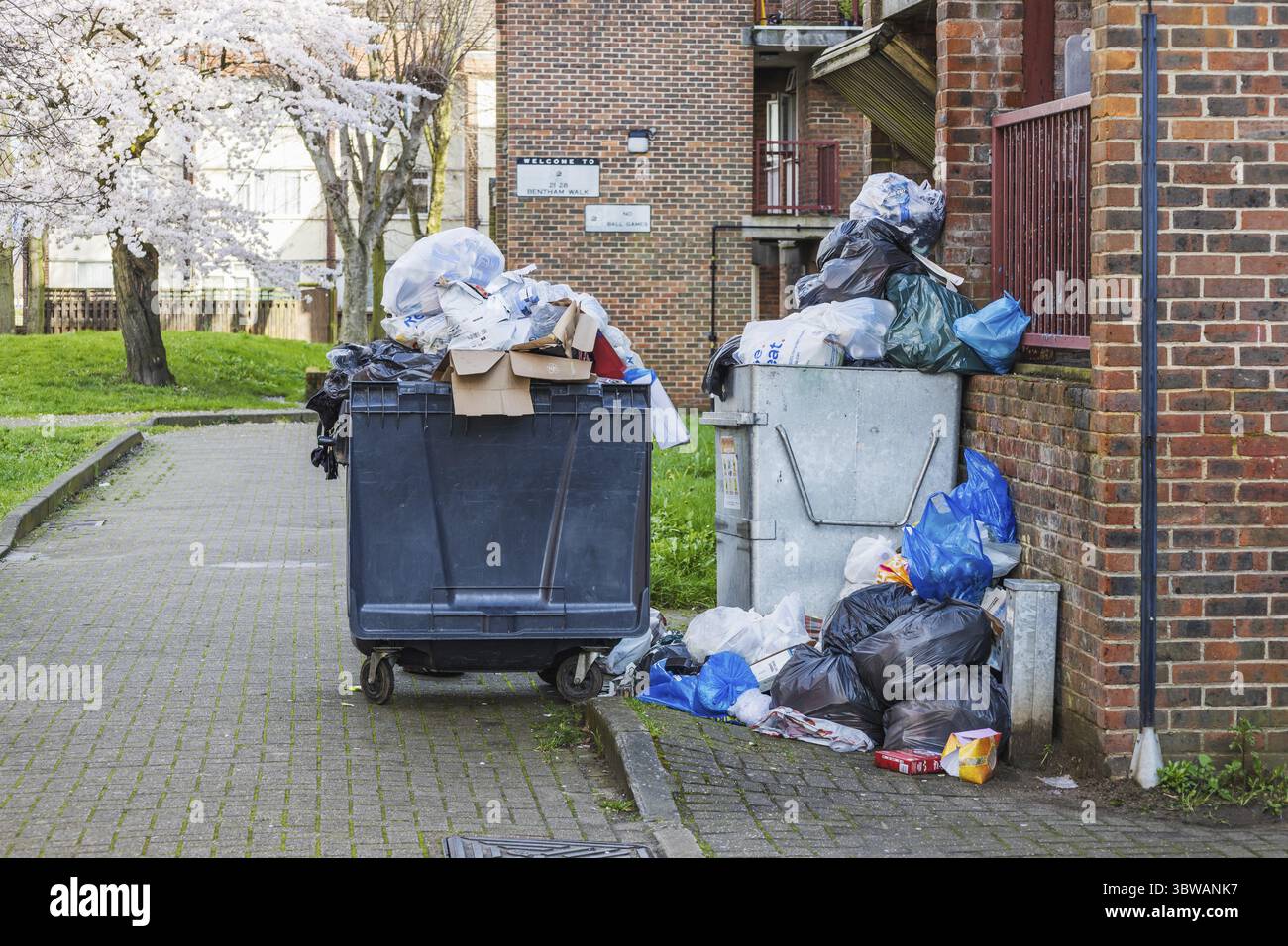 Overflowing trash bins and scattered garbage bags in urban alley beside ...