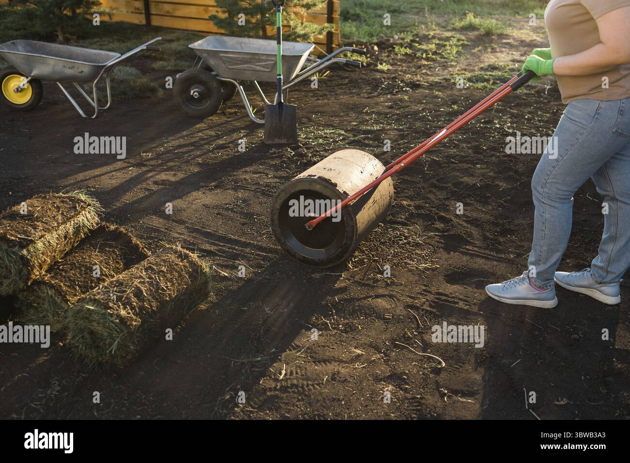 Close up woman laying sod for new garden lawn - turf laying Stock Photo ...